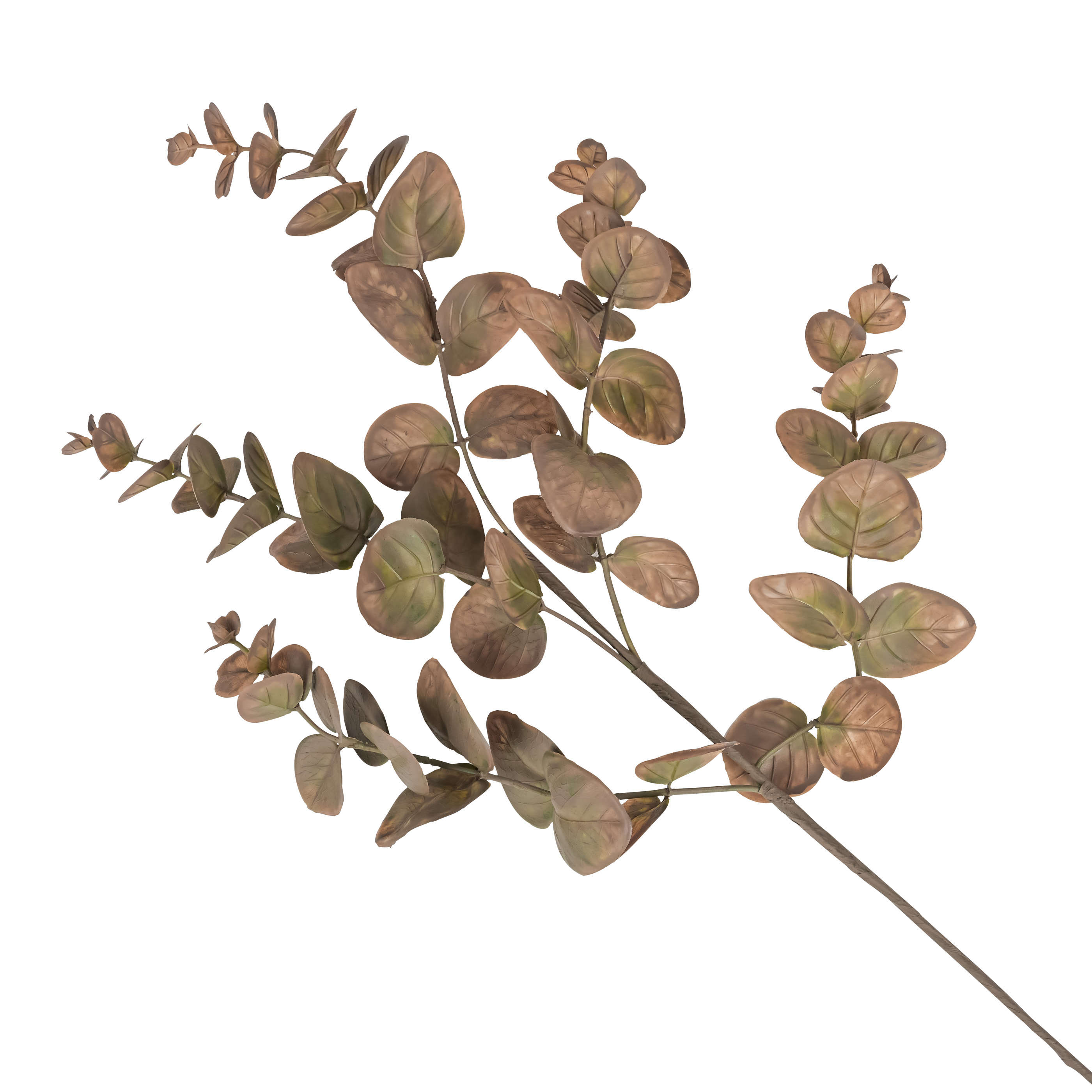 Eucalyptus-Zweig Monica, 63 cm grün-pink | Seidenpflanzen ...
